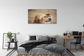 akrylový obraz dog bun 125x50 cm