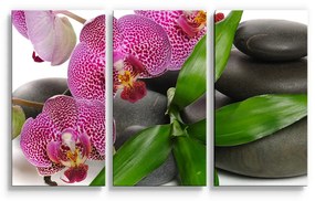 Sablio Obraz - 3-dílný Orchideje a kameny - 120x80 cm