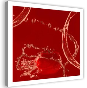 Obraz na plátně Červené rajče ve vodě - 40x40 cm