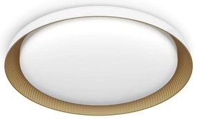 Philips - LED Stmívatelné stropní svítidlo PEBBLO LED/10W/230V 4000K bílá