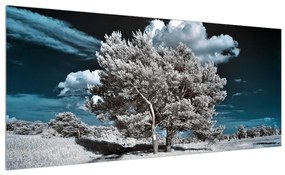 Obraz sněhobílého stromu (100x40 cm)