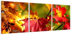 Podzimní listí, obraz