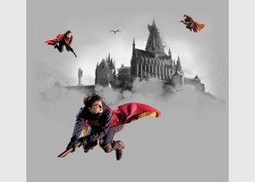 Dětská vliesová fototapeta na zed' Harry Potter Famfrpálové Trio | 300 x 270 cm | DDTD4P5095