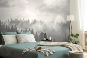 Samolepící fototapeta černobílá mlha nad lesem - 225x270