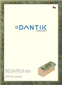 DANTIK rámeček 50x70 | BOX filmzelená (Plexi Čiré)
