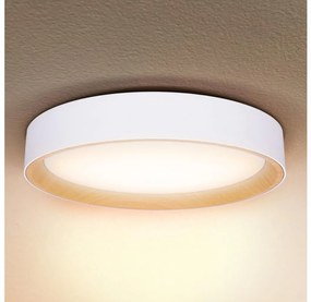 Brilagi -LED Stmívatelné svítidlo LARIOS LED/48W/230V 3000-6500K pr. 39 cm bílá+DO