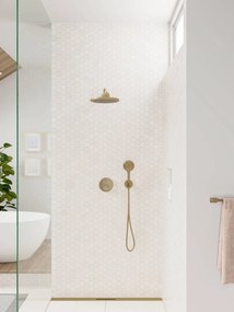 Hansgrohe Raindance Select S, ruční sprcha 120 3jet, kartáčovaný bronz, HAN-26530140