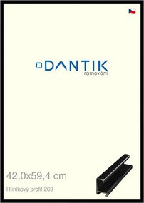DANTIK rámeček 42x59,4 | ALU profil 7269 Černá lesklá (Plexi Čiré)