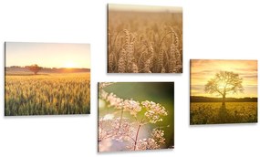 Set obrazů pole při západu slunce