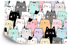 Fototapeta Barevné Kreslené Kočky Samolepící tapety 254x184