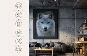 Ledový pohled - obraz - Bílý vlk s modrýma očima 27 - A4 – 210 × 297 mm - 149 Kč