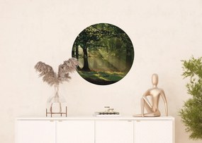 Samolepící vliesová fototapeta na zed' Prosluněný Les | 70 x 70 cm | DCR3210