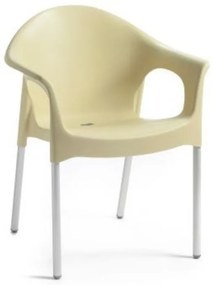 ROJAPLAST Zahradní židle - LISA, plastová/kovová Barva: černá