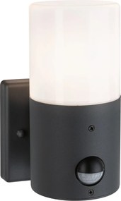 P 94648 Venkovní nástěnné svítidlo Tubs pohybové čidlo IP44 kruhové 105x130mm max. 15W 230V šedá mat kov/umělá hmota - PAULMANN