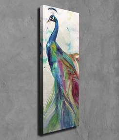 Obraz na plátně Peacock PC118 30x80 cm