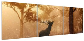 Obraz jelena v říji (150x50 cm)