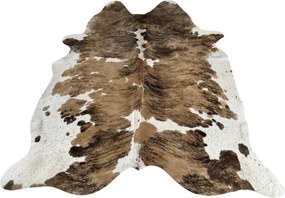 Koberec kusový hovězí kůže 3,4 m2, exotic tricolor 1036