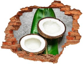 Wallmuralia Nálepka díra na zeď Poloviny kokosů 90x70 cm