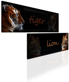 Obrazy tygr a lev Velikost (šířka x výška): 120x60 cm