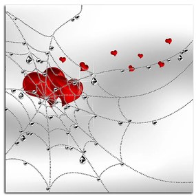 Obraz na plátně - Srdce v stříbrné pavučině - čtverec 378A (50x50 cm)
