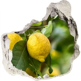 Wallmuralia Samolepící nálepka Citrony na stromě 75x75 cm