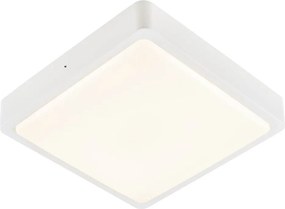 LA 1003449 AINOS SQUARE Outdoor, nástěnné a stropní LED svítidlo, bílé, spínač CCT 3000/4000K - BIG WHITE (SLV)