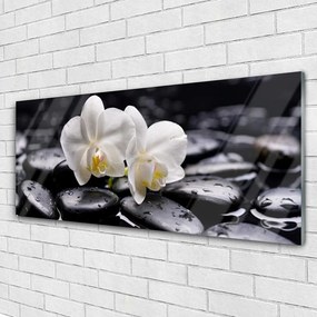 Plexisklo-obraz Kameny Zen Bílá Orchidej 125x50 cm