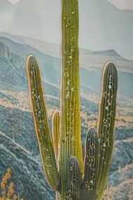 Obraz Cactus B 60x90 cm vícebarevný