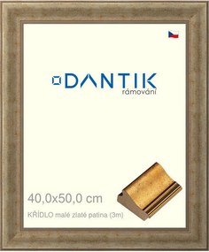 DANTIK rámeček 40x50 | KŘÍDLO malé zlaté patina (Plexi Čiré)