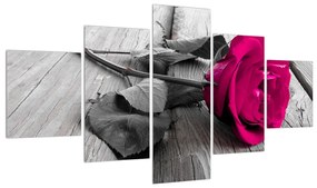 Obraz růžové růže (125x70 cm)