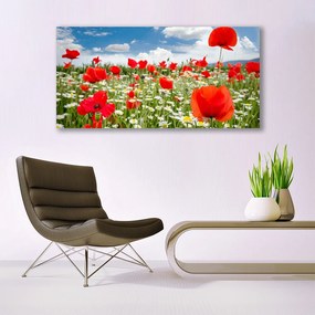 Plexisklo-obraz Louka Květiny Příroda 120x60 cm