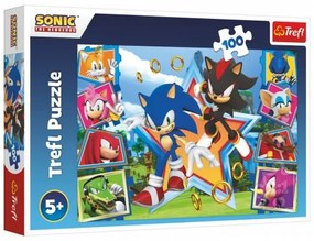 Puzzle Seznamte se se Sonicem/Sonic the Hedgehog 100 dílků 41x27,5cm v krabici 29x19x4cm