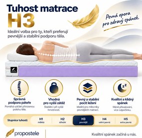 proPOSTELE Matrace Pur 10 cm 90 x 200 cm