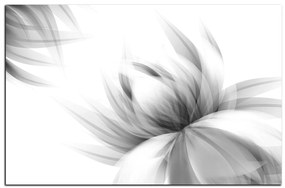 Obraz na plátně - Elegantní květ 1147QA (120x80 cm)
