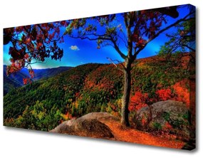 Obraz na plátně Hora Les Příroda 125x50 cm