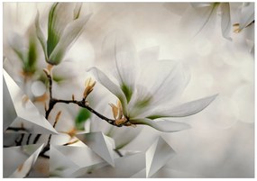 Fototapeta - Subtle Magnolias - Second Variant