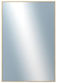 DANTIK - Zarámované zrcadlo - rozměr s rámem cca 40x60 cm z lišty Hliník dub | P273-514 (7273514)