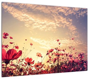 Obraz - Louka s květinami (70x50 cm)