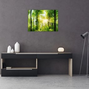 Obraz - Svítání v lese (70x50 cm)