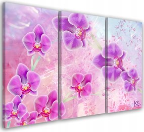 Obraz triptych na plátně, Orchidej Květiny Abstrakce 60x40