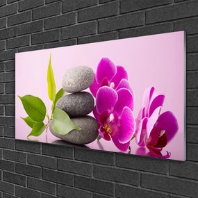 Obraz na skle Orchidej Vstavač Kameny 100x50 cm