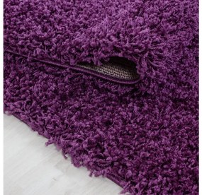 Ayyildiz koberce Kusový koberec Dream Shaggy 4000 lila Rozměry koberců: 160x230