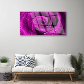 Obraz na skle Růže Květ Rostlina 100x50 cm