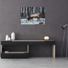 Skleněný obraz - jelen v zimě (70x50 cm)