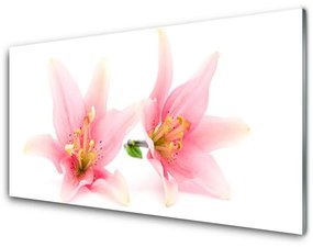 Kuchyňský skleněný panel Květiny Rostlina Příroda 100x50 cm