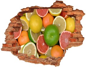 Wallmuralia Nálepka 3D díra Citrusové ovoce 90x70 cm