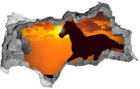 Wallmuralia Díra 3D fototapeta na stěnu Kůň západ slunce 95x73 cm
