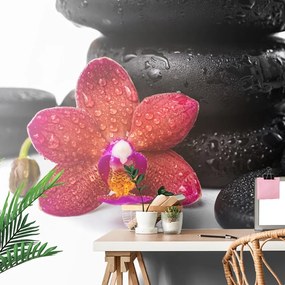 Tapeta orchidej a Zen kameny na bílém pozadí - 450x300 cm