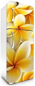 Fototapeta na lednici Plumeria 65 x 180 cm FR180-013