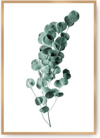 Plakát Eucalyptus Emerald Green